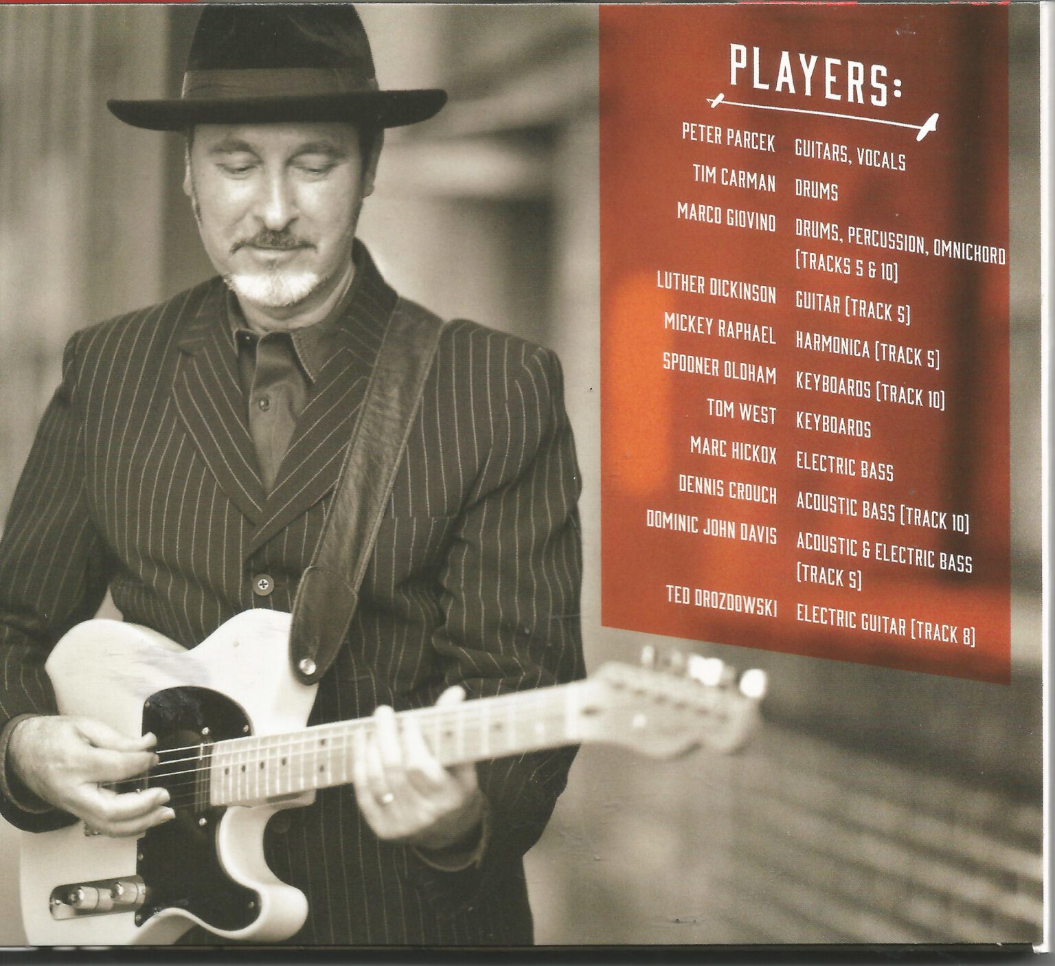 Peter Parcek - Mississippi Suitcase