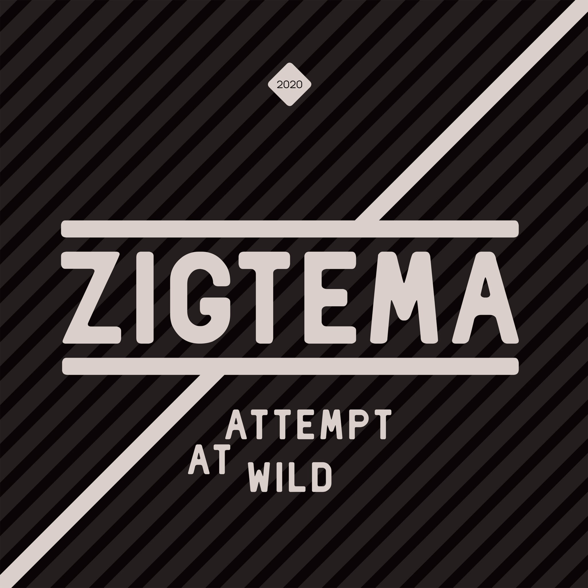ZIGTEMA - Attempt At Wild