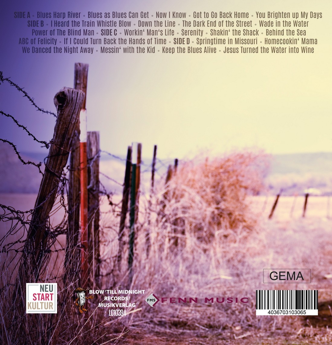 New Release: Chris Kramer & Jens Filser - Roots Music I Bluestown Music