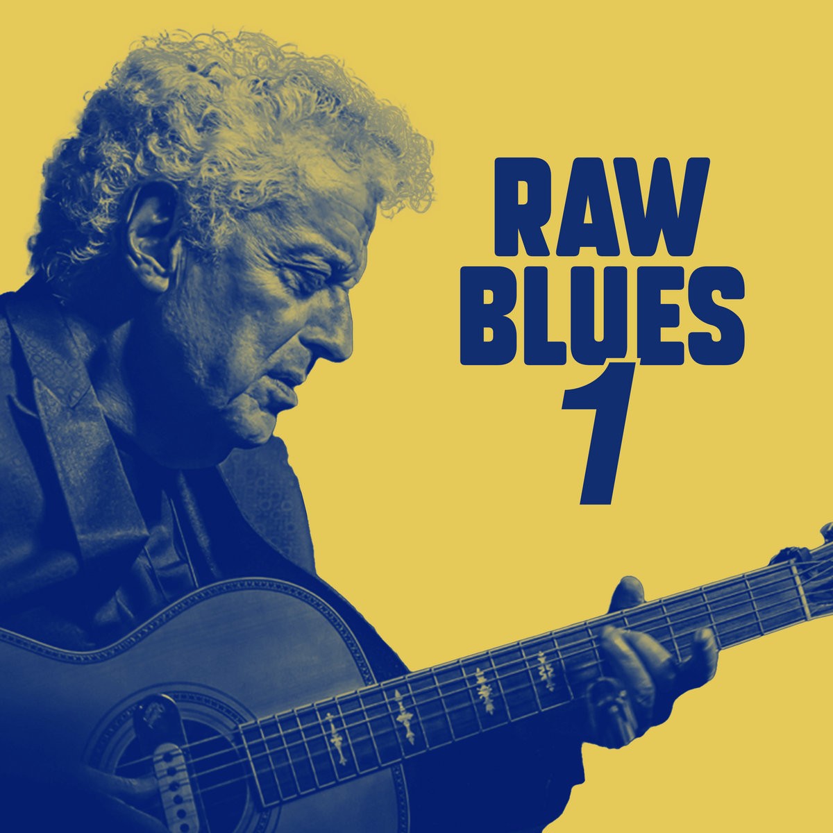 Review: Doug MacLeod – Raw Blues 1 I Bluestown Music