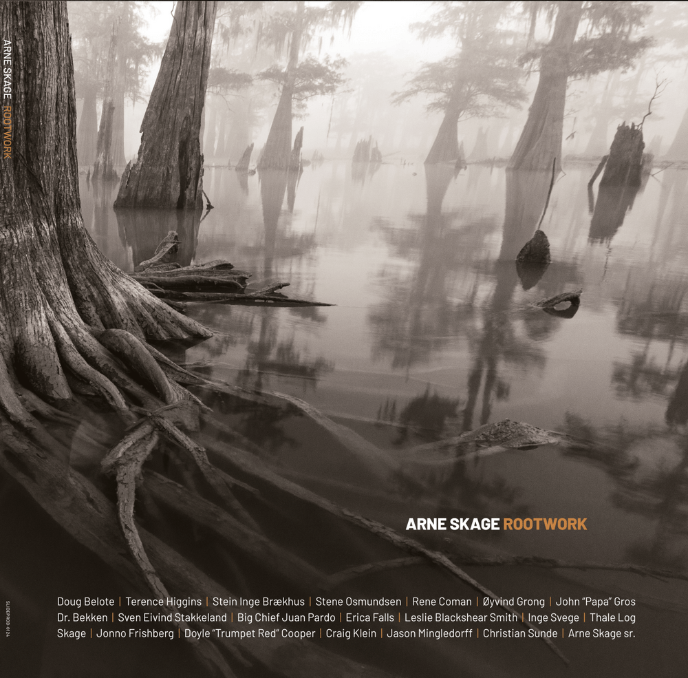 New Release: Arne Skage - Rootwork I Bluestown Music