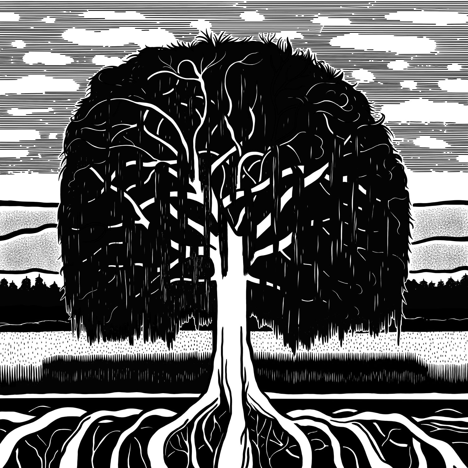 Review: Dan Owen - The Willow Tree I Bluestown Music