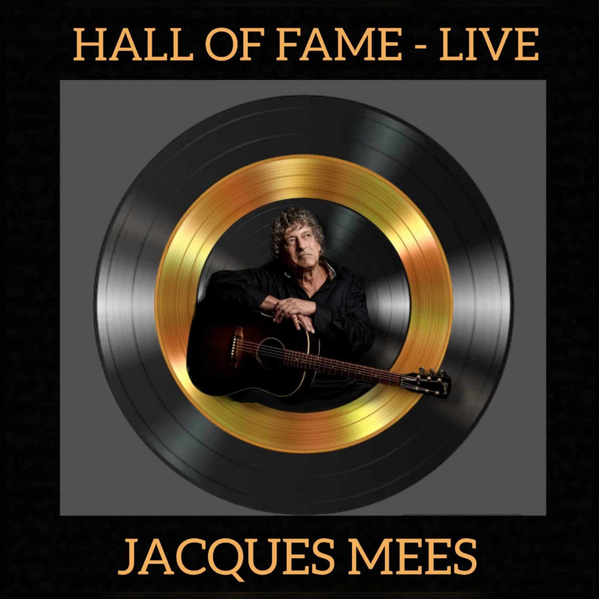 Review: Jacques Mees – Hall Of Fame - Live I Bluestown Music