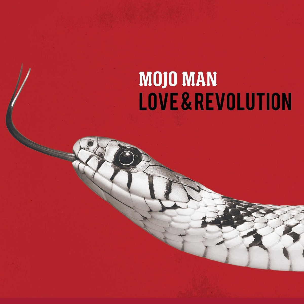 Review: Mojo Man – Love & Revolution I Bluestown Music